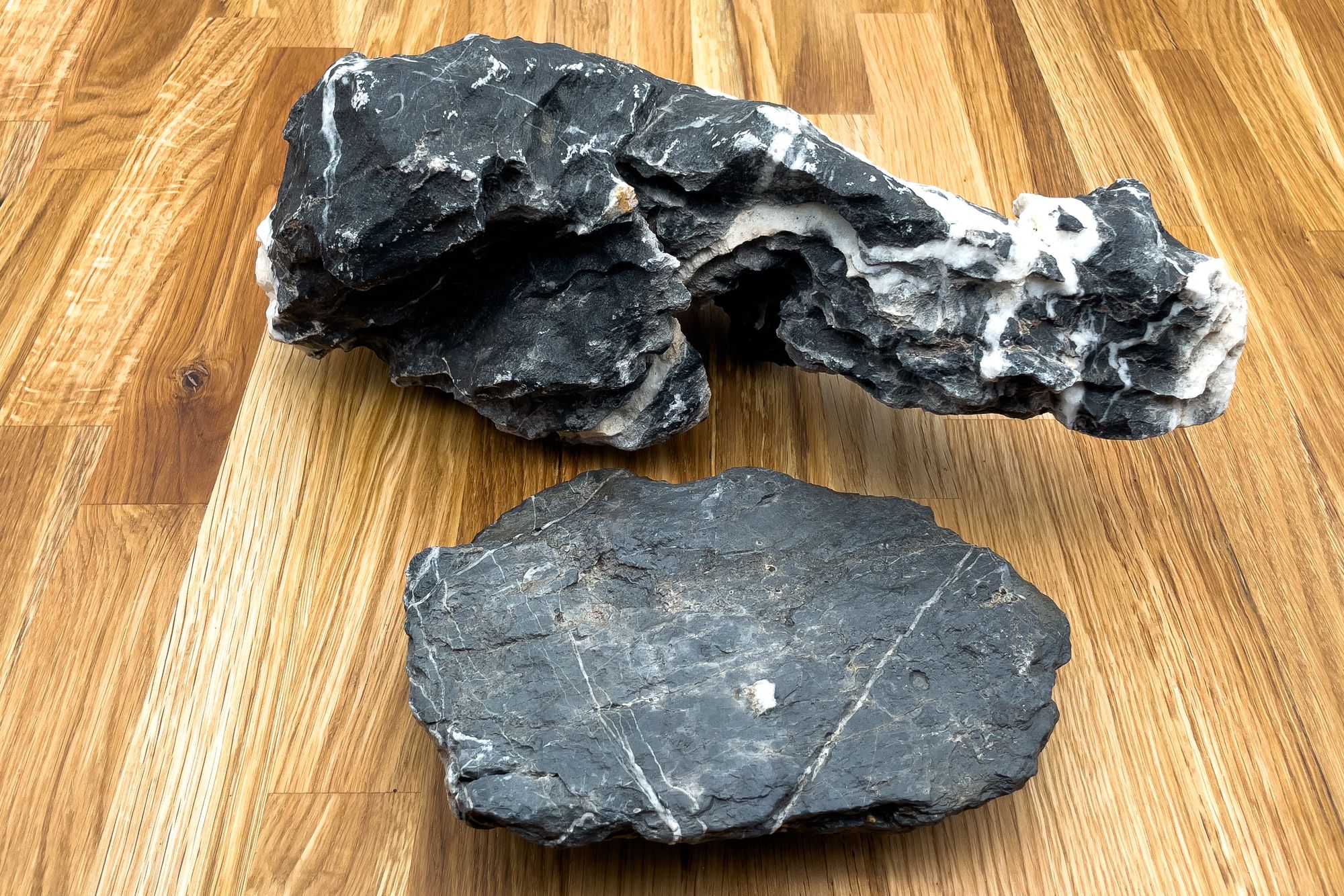 How to Find the Best Aquarium Substrate for Your Needs